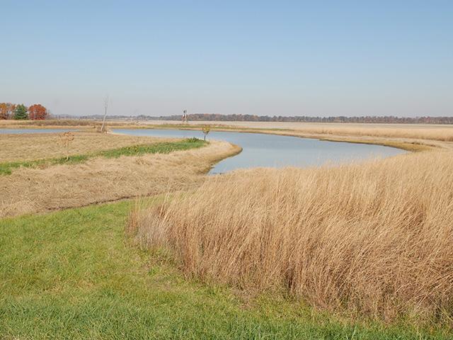 Aggie Senators Split on Push to Boost CRP Acreage