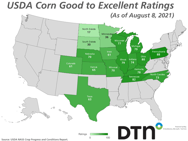 Corn Condition Gains Back 2 Points, Soy Condition Holds Steady in ...