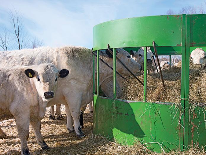 Hay Saver Cone Feeders