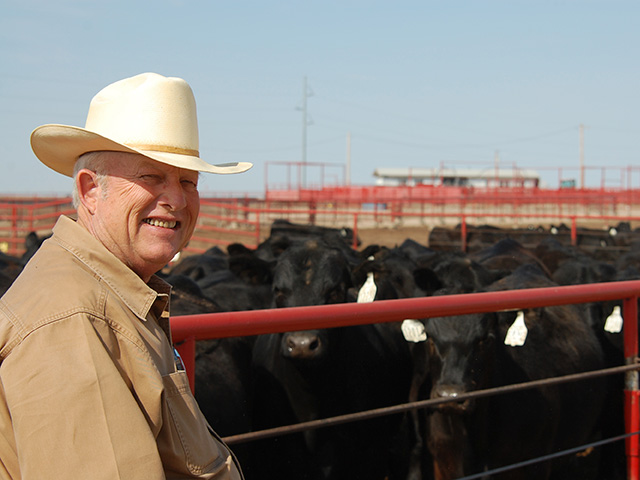 Rebuilding the Family Beef Herd