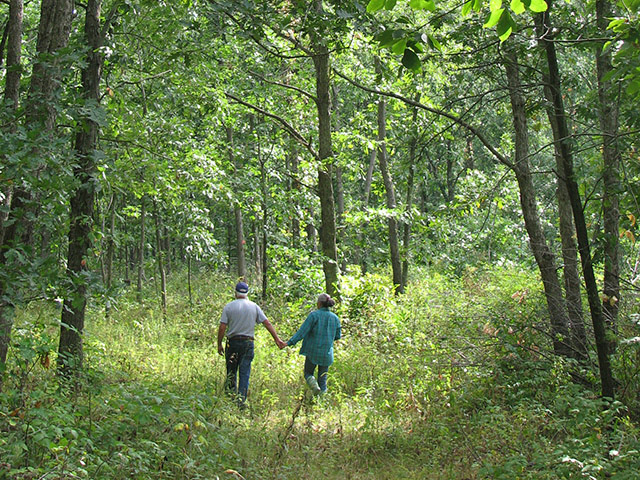 Iowa Couple Restores Native Trees, Shrubs to Once Clear-Cut Land