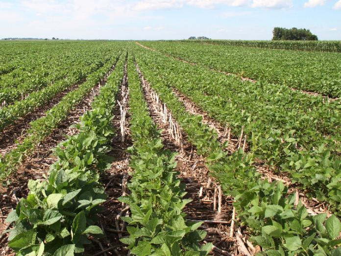 Double Cropping Example