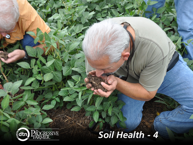 Steps to Improve Soil Health