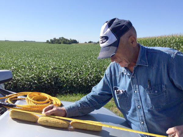 Annual Scouting Trip Examines Production Forecasts for Corn Belt