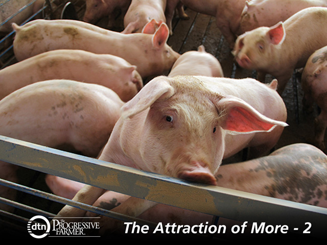 Pork Producers Catch a Break