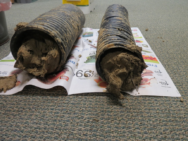 Cover Crops Suspected in Case of Clogged Field Tile