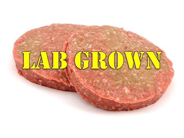 USDA and FDA will jointly regulate cell-cultured proteins.