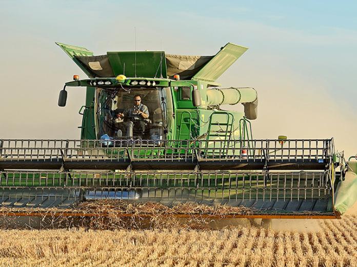 wheatfields axminster