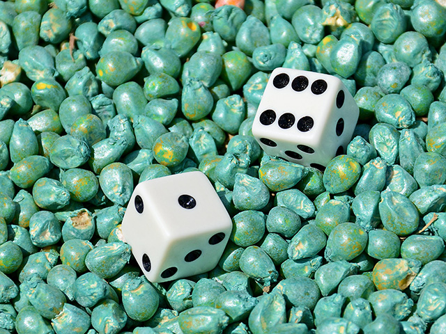 Summer 2019--Rolling Sevens