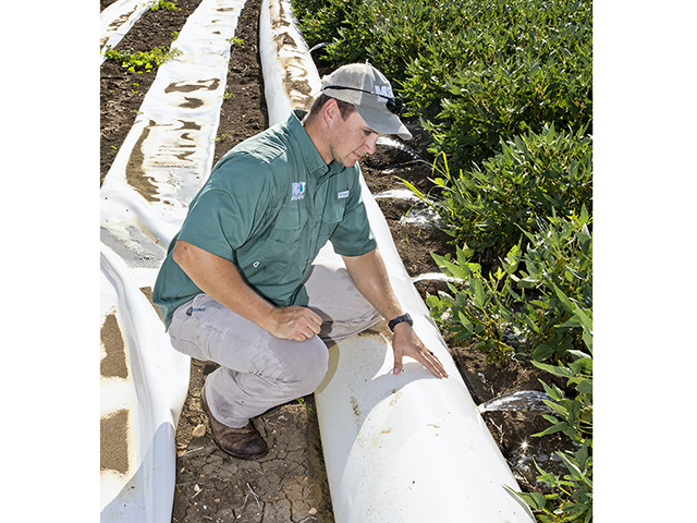 Timing, pulse irrigation and polypipe lead to a 42% reduction in water use.