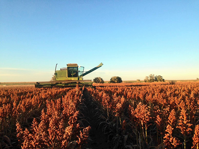 Harvesting Life Lessons