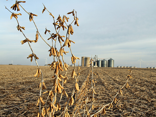 Build a Better Bean Strategy