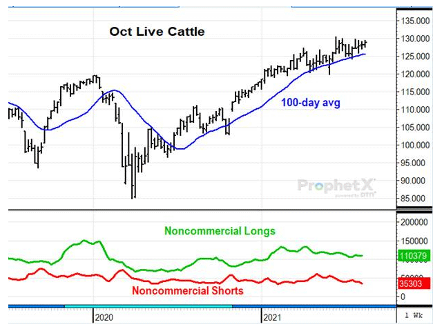 October Live Cattle Trend Shows No Signs of Breaking
