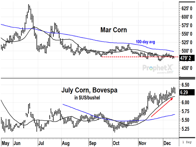 A Tale of Two Corn Prices